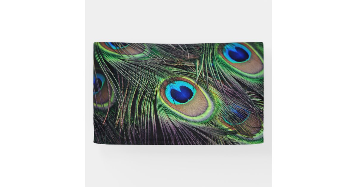 Peacock Banner | Zazzle