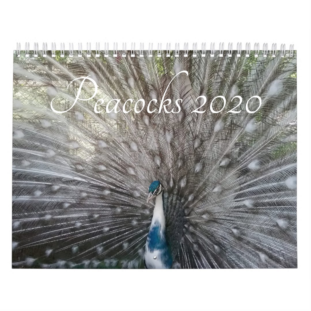 Peacock Calendar | Zazzle
