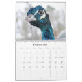 Peacock Calendar | Zazzle