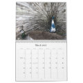 Peacock Calendar | Zazzle