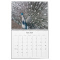 Peacock Calendar | Zazzle