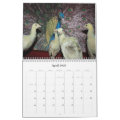 Peacock Calendar | Zazzle