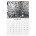Peacock Calendar | Zazzle