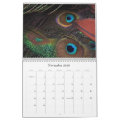 Peacock Calendar | Zazzle