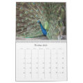 Peacock Calendar | Zazzle