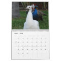 Peacock Calendar | Zazzle