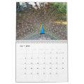 Peacock Calendar | Zazzle