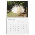 Peacock Calendar | Zazzle
