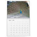 Peacock Calendar | Zazzle