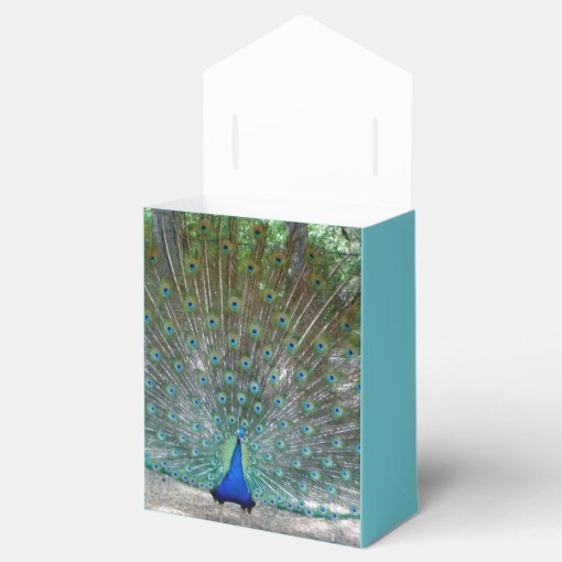 Peacock Design Party Favors Box | Zazzle
