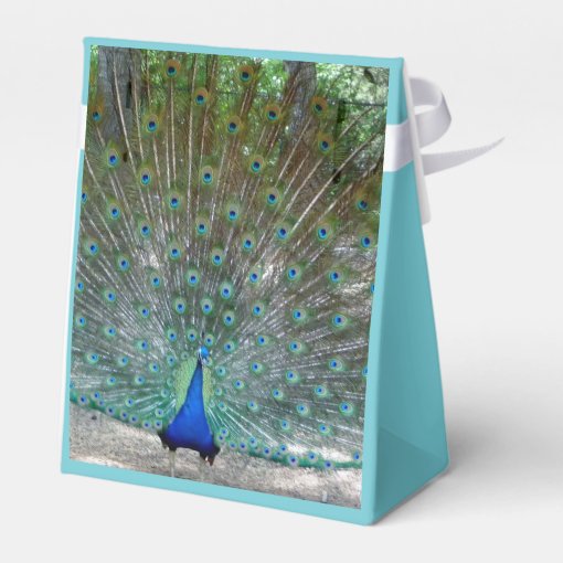 Peacock Design Party Favors Box | Zazzle