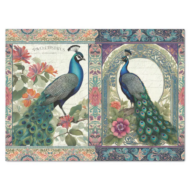 Peacock Elegant Botanical Ephemera Pair Decoupage Tissue Paper | Zazzle