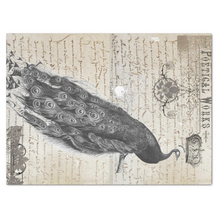 Peacock Ephemera Collage Tissue Paper | Zazzle