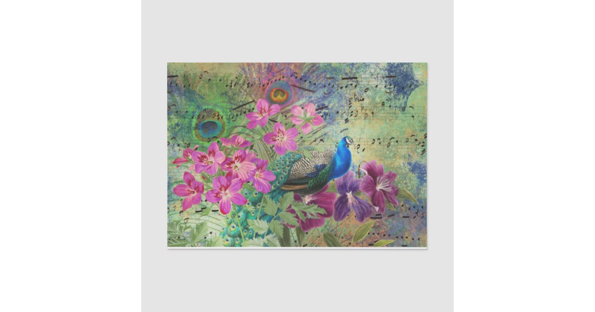 Peacock Ephemera Tissue Paper | Zazzle