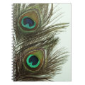 Peacock Feather Notebook | Zazzle