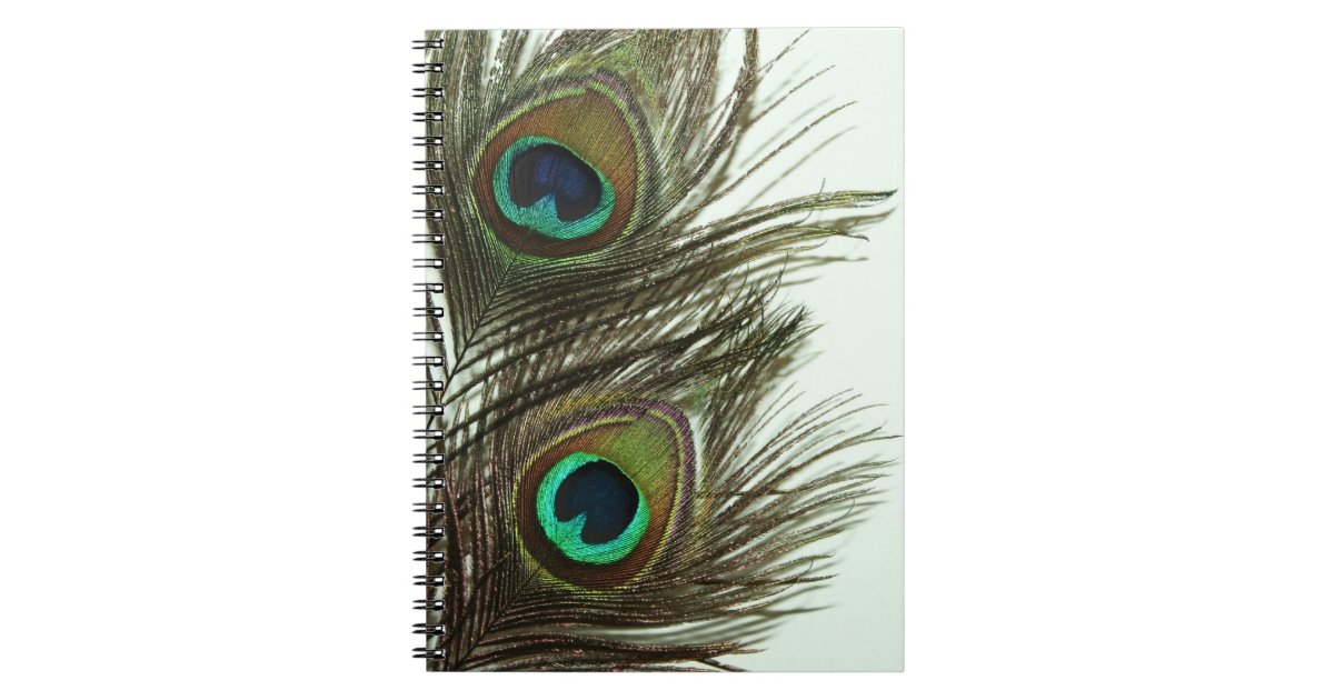 Peacock Feather Notebook | Zazzle