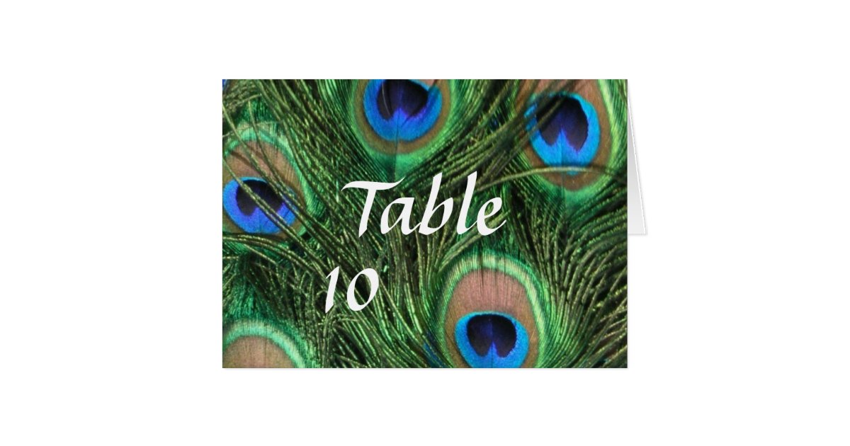 Peacock Feather Table Numbers | Zazzle