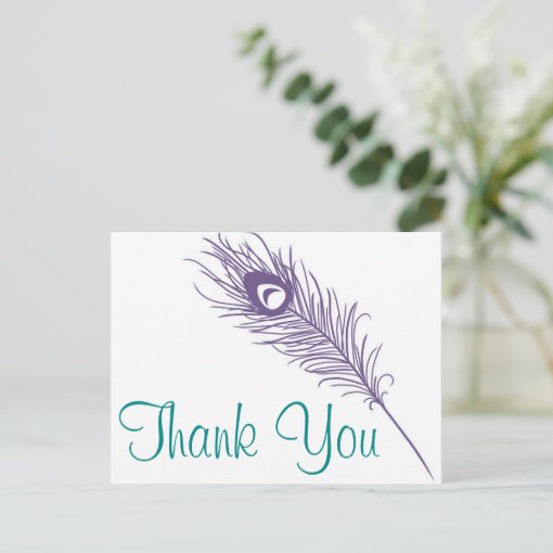 Peacock Feather Thank You Postcard | Zazzle