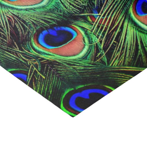 Peacock Feather Tissue Gift Paper | Zazzle