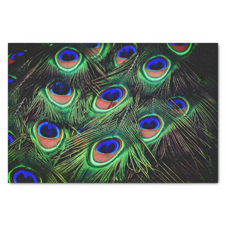 Peacock Feather Tissue Gift Paper | Zazzle