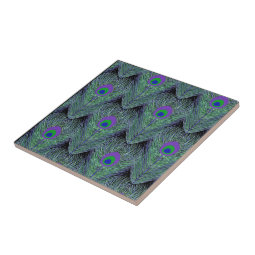 Peacock Feathers Black Background Ceramic Tile | Zazzle