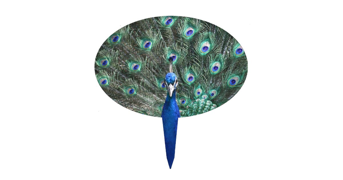 Peacock in Full Display Cake Topper | Zazzle