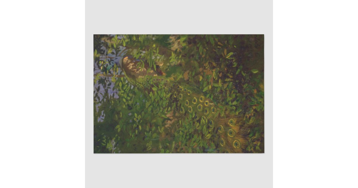 Peacock in the Woods (by Abbott Henderson Thayer) Tissue Paper | Zazzle