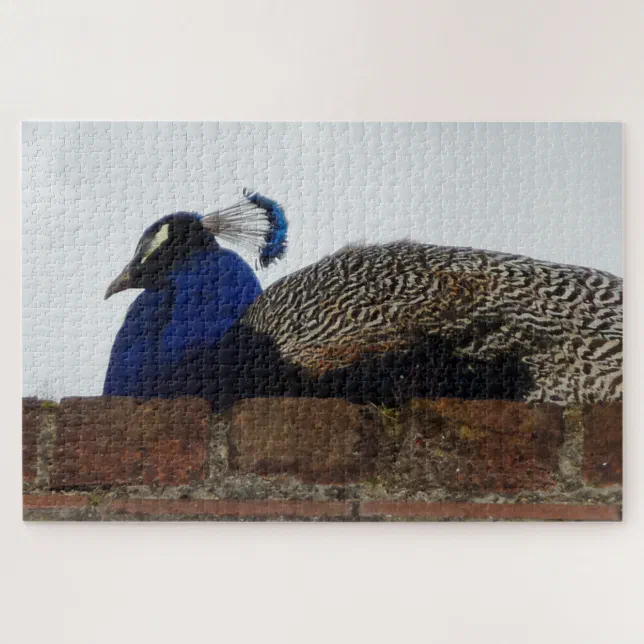 Peacock Jigsaw Puzzle | Zazzle