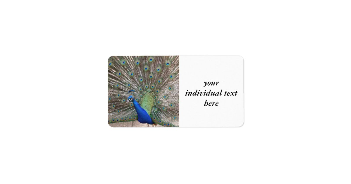 peacock label | Zazzle