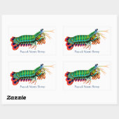 Peacock Mantis Shrimp Reef Creature Sticker | Zazzle