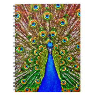 Peacock Notebooks & Journals | Zazzle