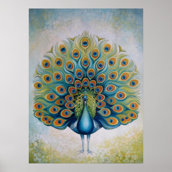 Peacock poster | Zazzle.com