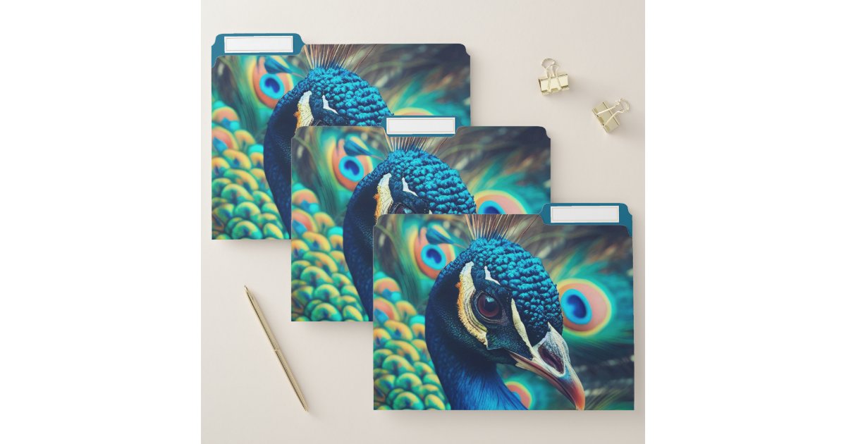 Peacock Profile File Folder | Zazzle