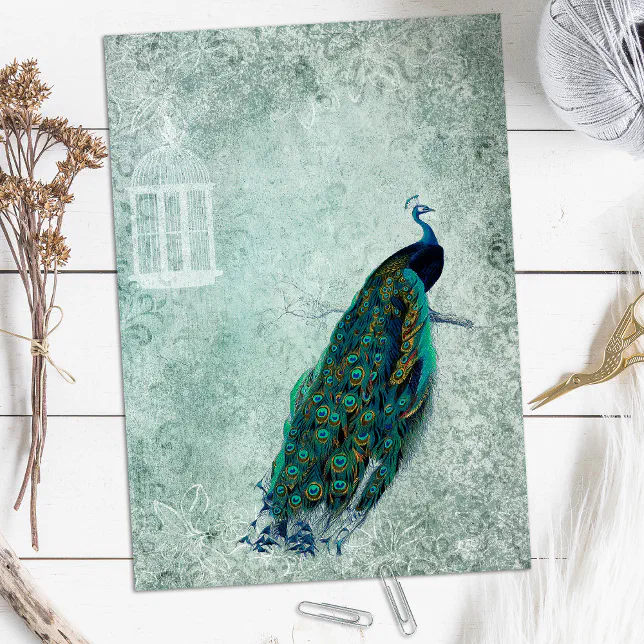 Peacock Scrapbook Paper | Zazzle
