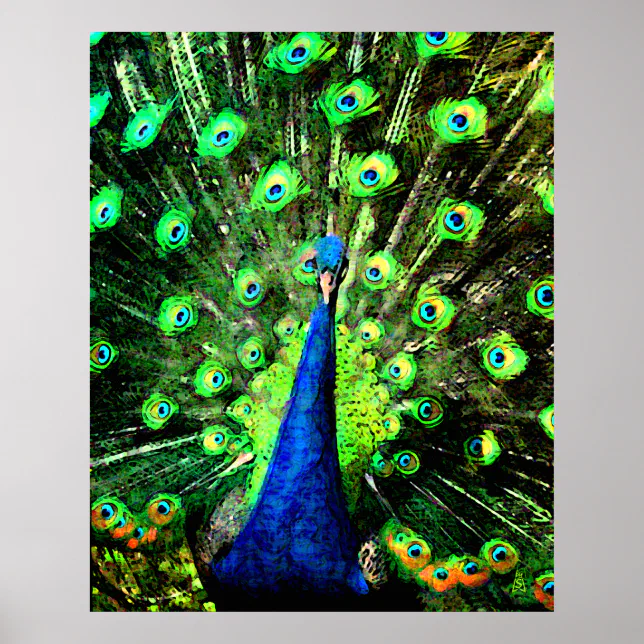 Peacock Strut Poster | Zazzle