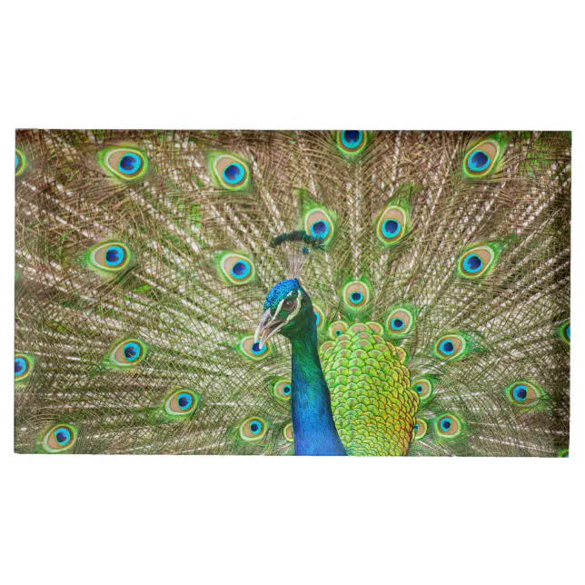 Peacock Table Number Holder | Zazzle