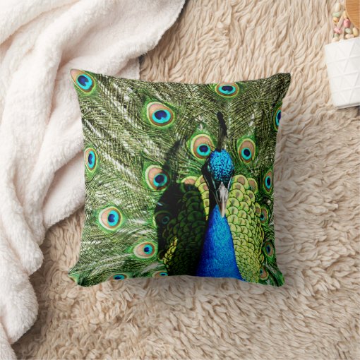 Peacock Throw Pillow | Zazzle