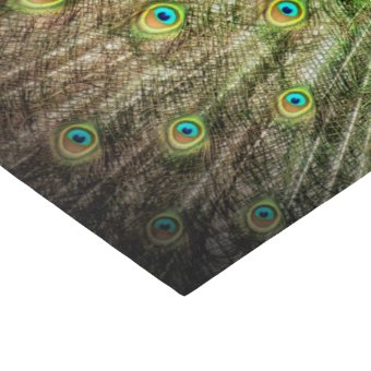 Peacock Tissue Paper | Zazzle