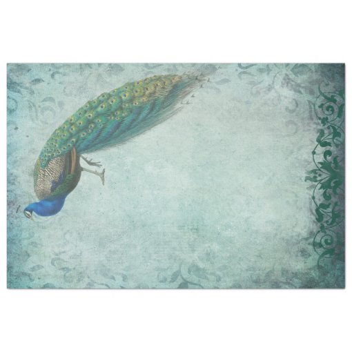 Peacock Tissue Paper for Craft & Collage | Zazzle
