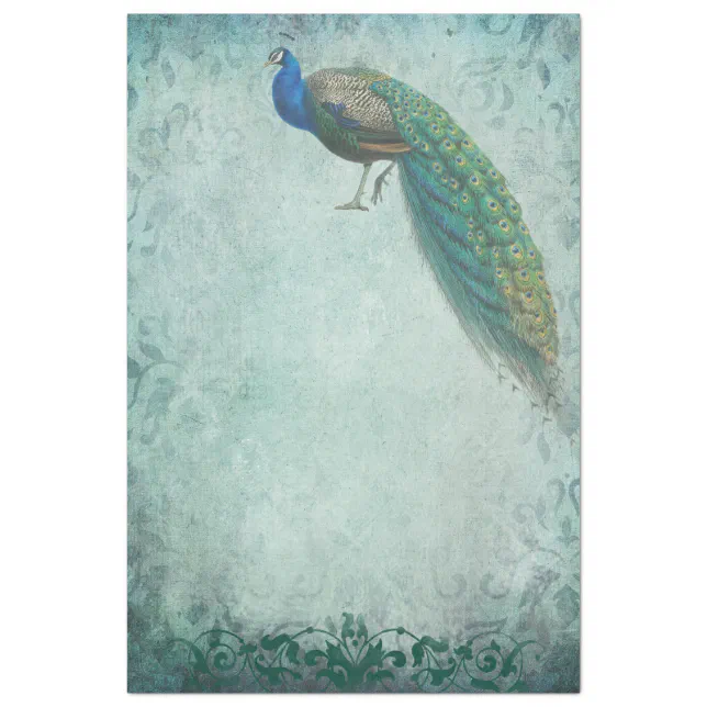 Peacock Tissue Paper for Craft & Collage | Zazzle
