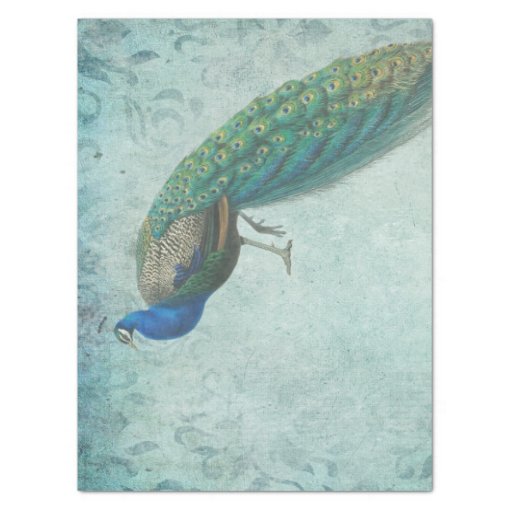 Peacock Tissue Paper for Craft & Collage | Zazzle
