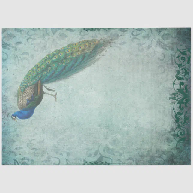 Peacock Tissue Paper for Craft & Collage | Zazzle