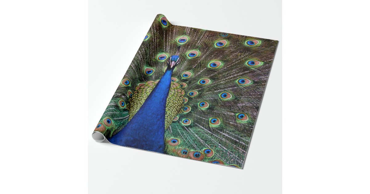 Peacock Wrapping Paper | Zazzle.com