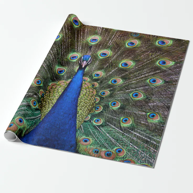 Peacock Wrapping Paper | Zazzle