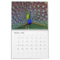 Peacocks Wall Calendar | Zazzle