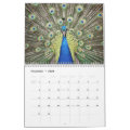 Peacocks Wall Calendar | Zazzle