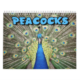 Peacocks Wall Calendar | Zazzle