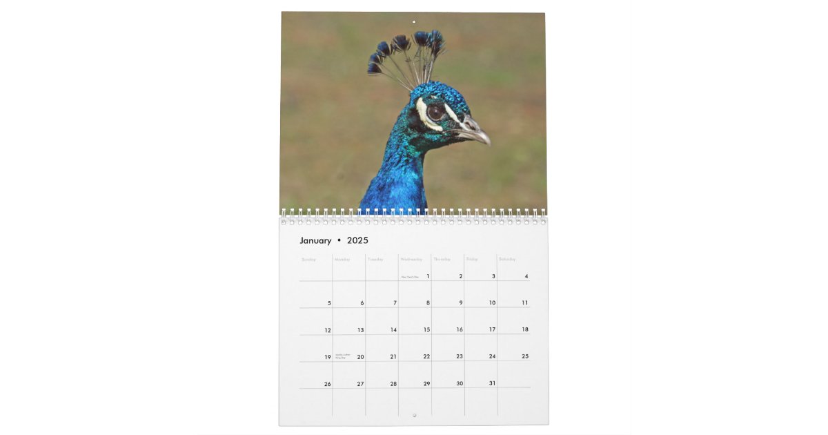 Peacocks Wall Calendar | Zazzle