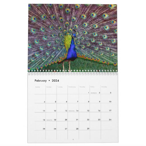 Peacocks Wall Calendar Zazzle