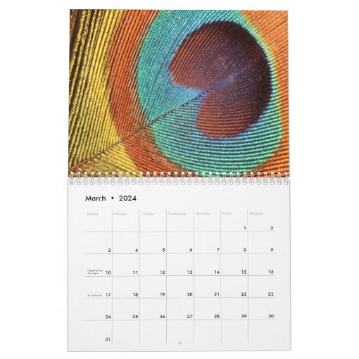 Peacocks Wall Calendar | Zazzle